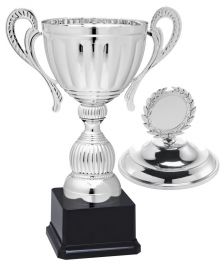 591 Pokale mit Deckel inkl. Emblem u. Beschriftung | Serie 4 Stck ...