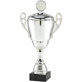 LT.088 Pokale Sigmaringen inkl. Emblem u. Beschriftung | 6 Größen ...